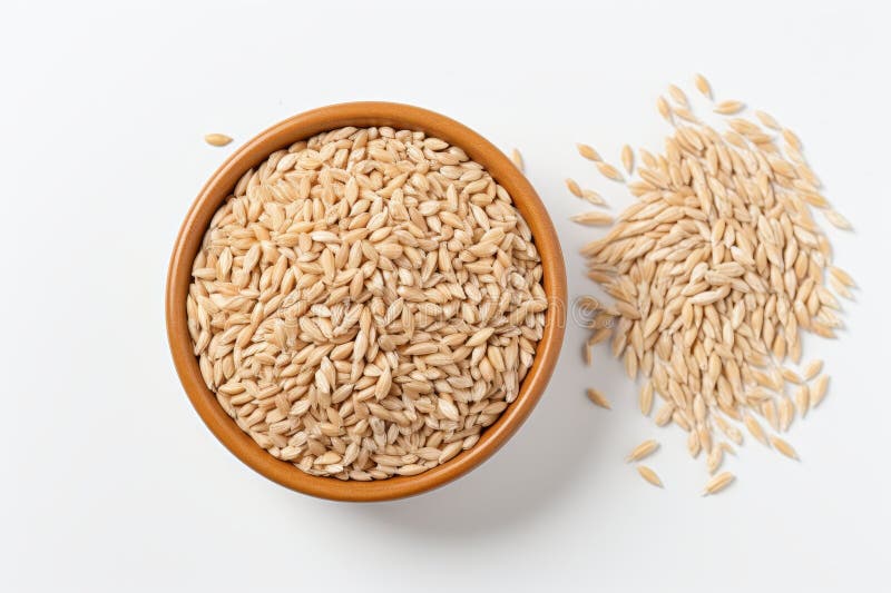 Single Ripe Wheat Seed Floating on White Background, Isolated for Clear ...