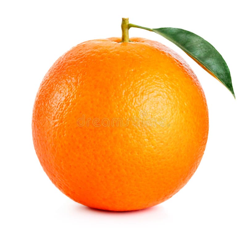 Single orange isolated stock photo. Image of healthy - 144148928