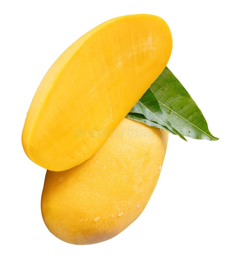 Single Ripe Yellow Mango Fruit and Half with Green Leaves and Water ...