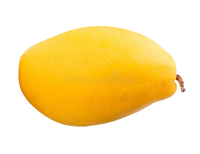 1,227 Single Ripe Yellow Mango Isolated White Background Clipping Path ...