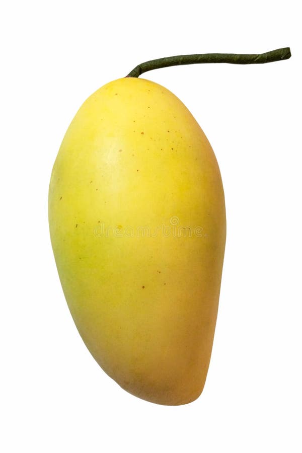 Single Ripe Yellow Mango Isolated on White with Clipping Path Stock ...
