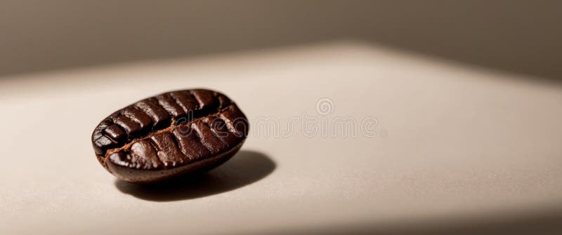 Single Roasted Coffee Bean with a Shiny Brown Surface. Stock Image ...