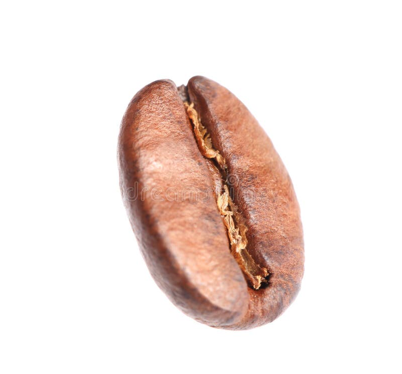 Single roasted coffee bean stock image. Image of morning - 126580627