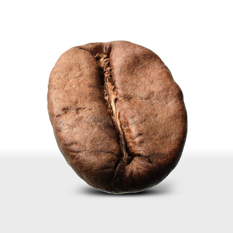 Roasted coffee seed stock photo. Image of zoom, single - 259202410