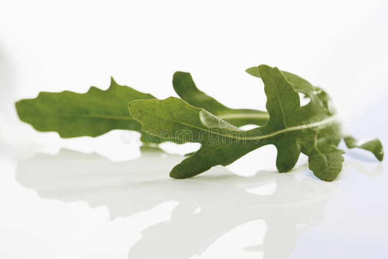Rocket Leaf stock photo. Image of organic, fresh, leaves - 4508006
