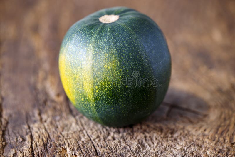 Zucchini Rondini Stock Photos - Free & Royalty-Free Stock Photos from ...