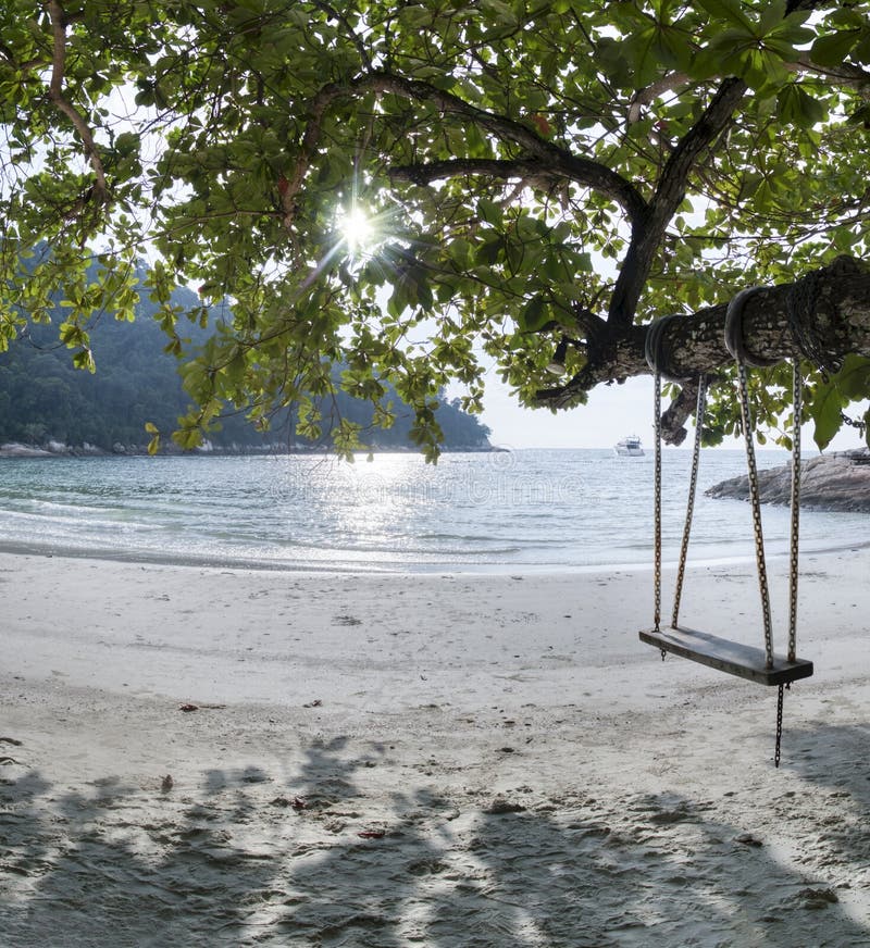 Single Rope Bench Swing by the Beach. Stock Image - Image of emerald ...