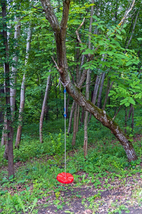 Single Rope Tree Swing stock photo. Image of single - 249950892