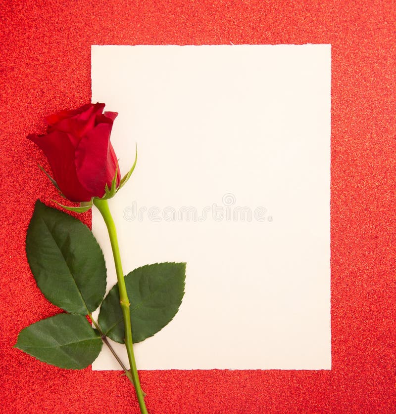Single Rose with a Blank Page for Writing a Love Note Stock Photo ...