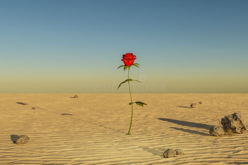 Single Dry Rose Stock Illustrations – 467 Single Dry Rose Stock ...