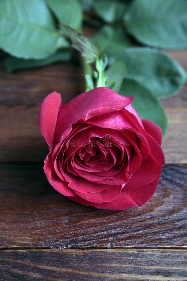 Single Rose on Old Rustic Wood Table Stock Image - Image of material ...