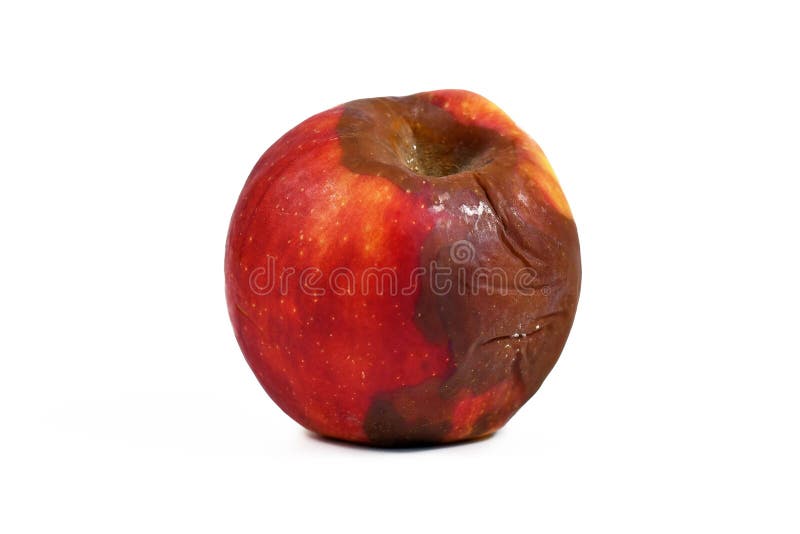 Rotten Red Apple Fruit on White Background Stock Photo - Image of waste ...