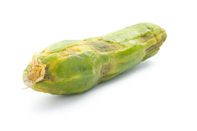Rotten cucumber stock image. Image of decompose, decline - 30316583