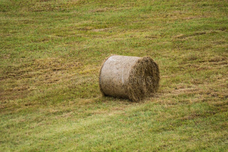 Single Round Bale of Hay in the Field Stock Image - Image of grain ...