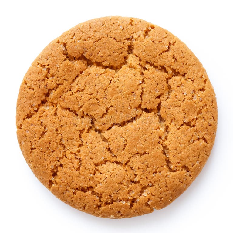 Single Round Ginger Biscuit Isolated on White from Above. Stock Image ...