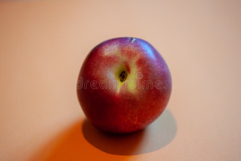 Single round nectarine stock image. Image of ripe, food - 149201115