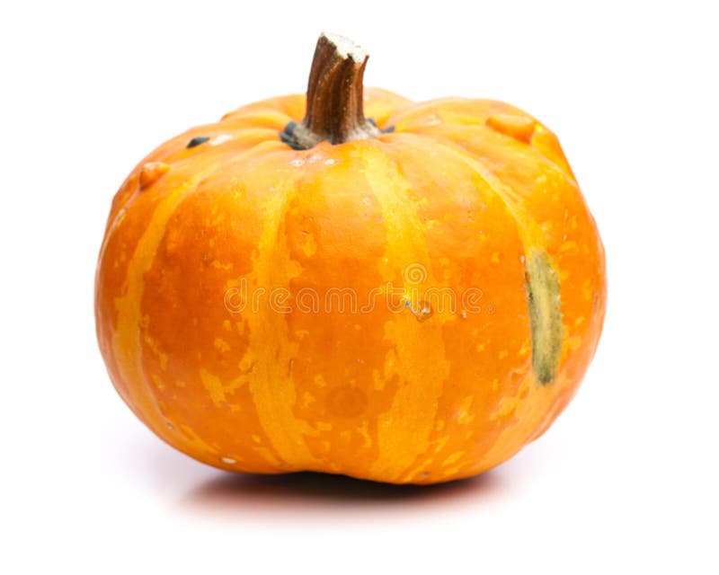 Round Pumpkin Isolated on White Background Stock Image - Image of ...