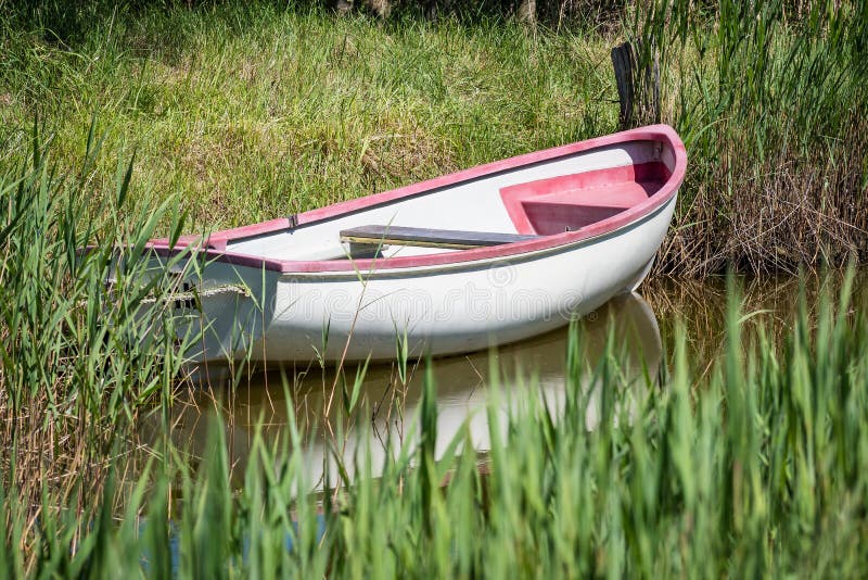 A Single Rowing Boat in the Reeds Stock Image - Image of western, port ...