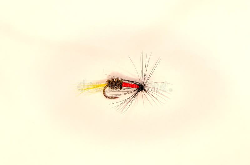 Single Royal Coachman Trout Fly Stock Photos - Free & Royalty-Free ...