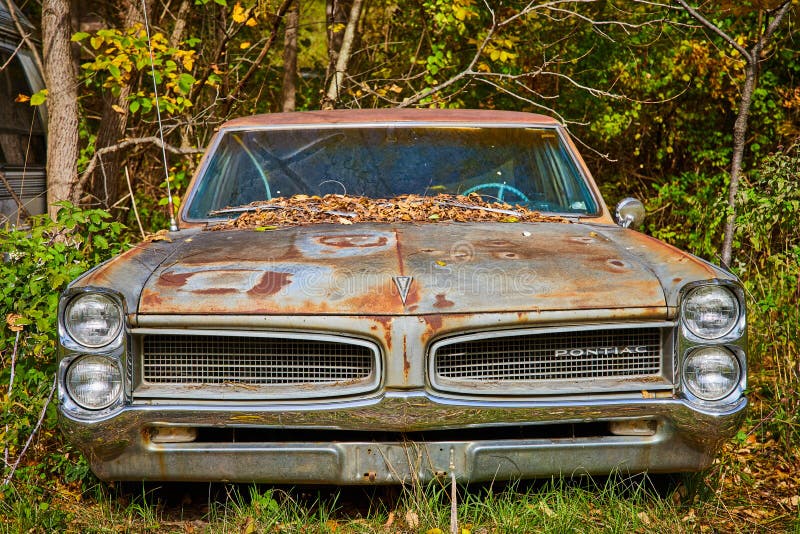 Single Rusty Pontiac Car from Front Low in Forest with Fall Leaves on ...