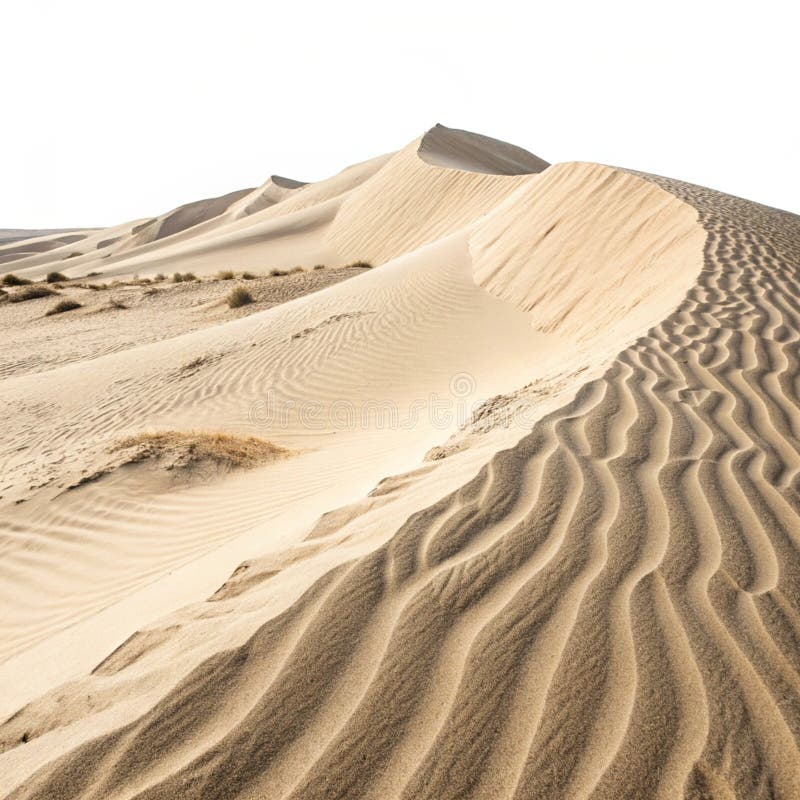 Single Sand Dune Mound with Wavy Texture Stock Illustration ...