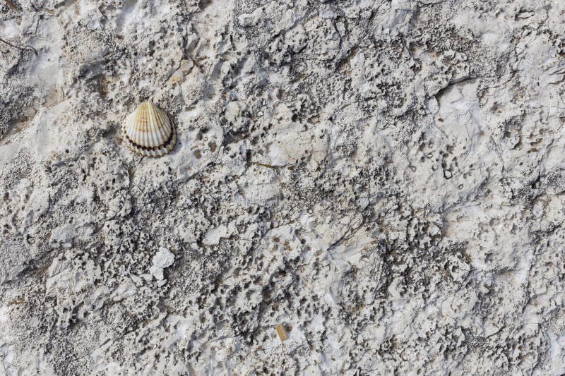 Weathered Porous Rock Texture Background. Stock Photo - Image of ...