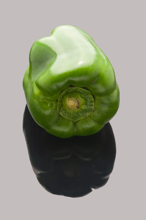 Single shiny green pepper stock image. Image of juicy - 28923865