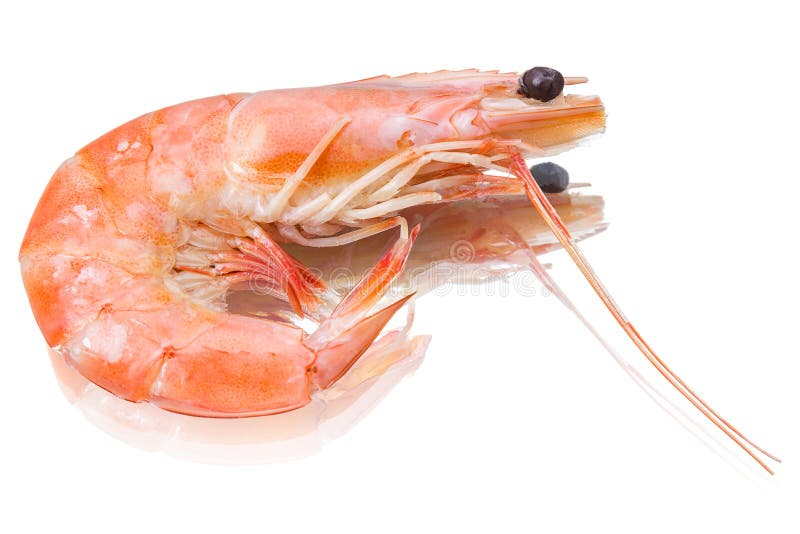 Cooked shrimp with lemon stock image. Image of pink, plate - 29050425