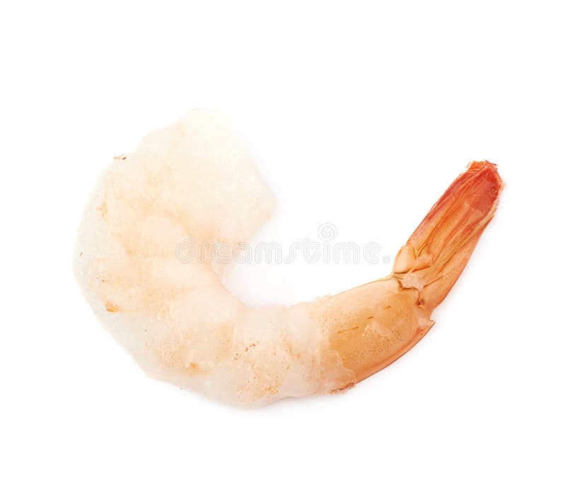 Single Shrimp stock photo. Image of shrimp, food, overhead - 9000770