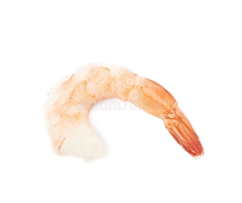 Single Shrimp stock photo. Image of shrimp, food, overhead - 9000770