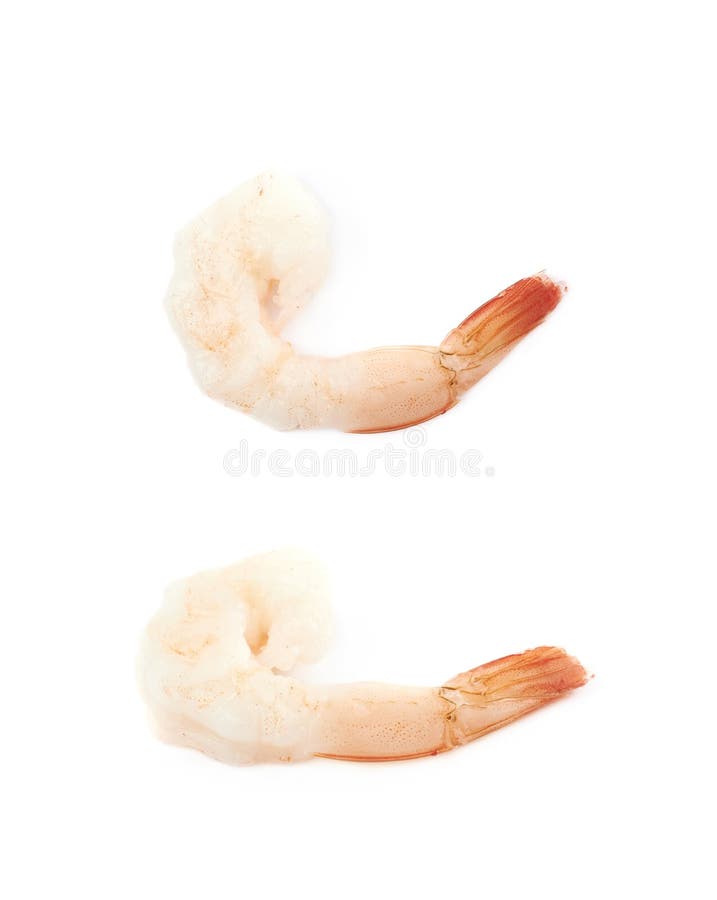 Single shrimp isolated stock image. Image of cooked, gourmet - 92932871