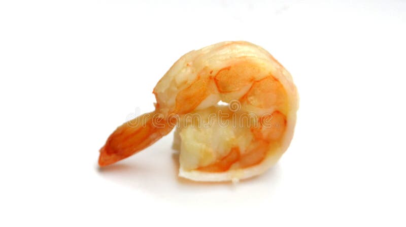 Single Shrimp stock photo. Image of shrimp, food, overhead - 9000770