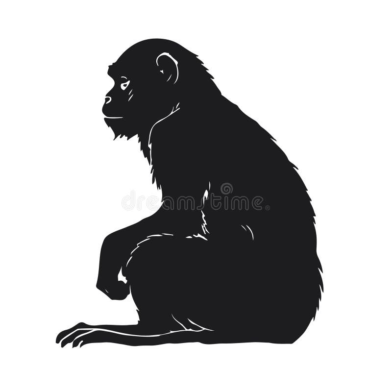Single Silhouette of Realistic Monkey Sitting Side View Stock Vector ...