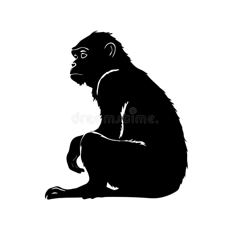 Single Silhouette of Realistic Monkey Sitting Side View Stock ...