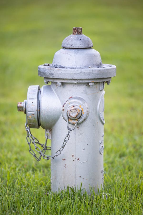 A Single Silver Fire Hydrant on a Front Lawn of Grass Stock Photo ...