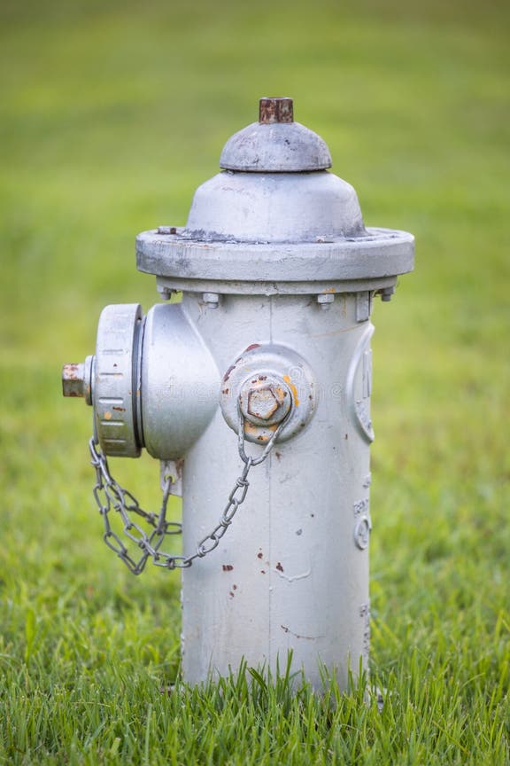 A Single Silver Fire Hydrant on a Front Lawn of Grass Stock Photo ...
