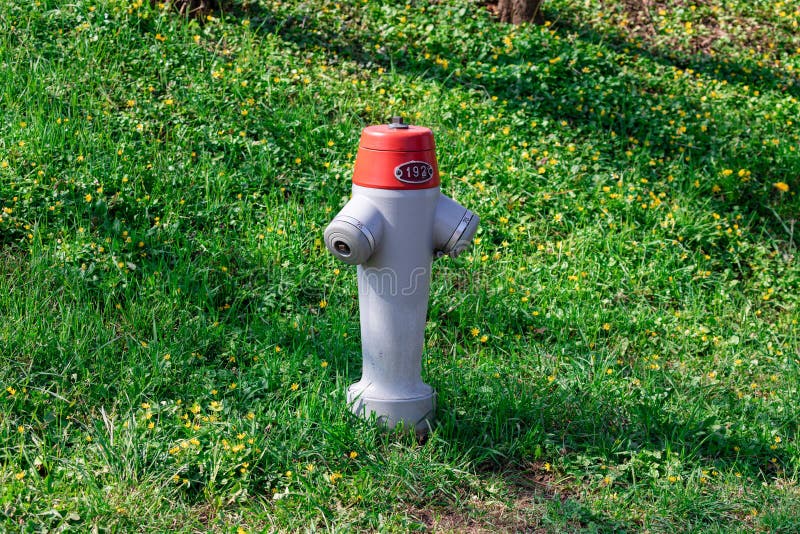 Single Silver Red Fire Hydrant with Number 192 on a Green Spring Meadow ...