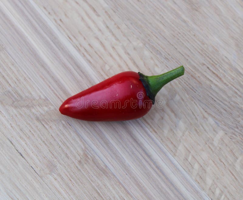 A Single Small Hungarian Hot Pepper Stock Image - Image of capsaicin ...