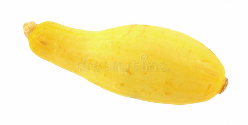 Small Yellow Summer Squash stock image. Image of three - 15170777