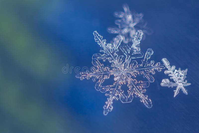 Single Snow Flake on Blue and Green Background Stock Image - Image of ...