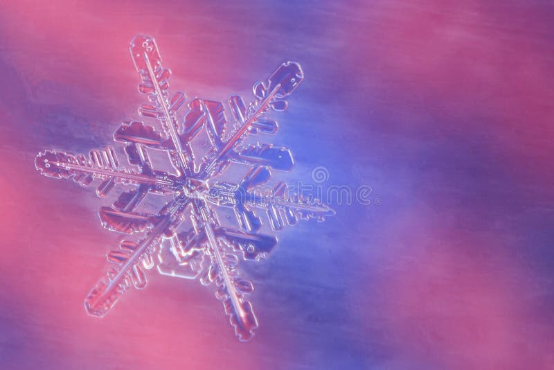 Single Snow Flake on Colorful Background Stock Photo - Image of ...