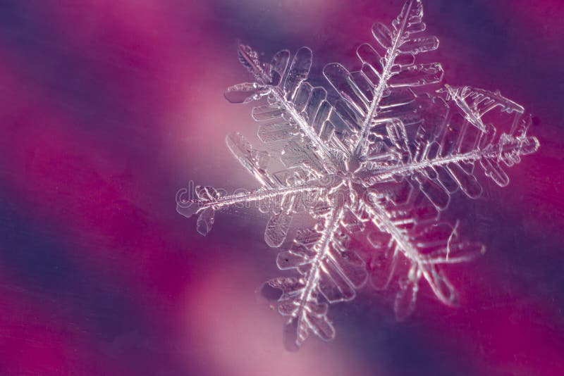 Single Snow Flake on Colorful Background Stock Image - Image of blue ...
