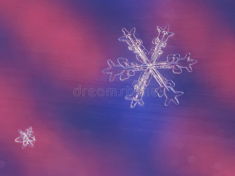 Single Snow Flake on Colorful Background Stock Image - Image of ...