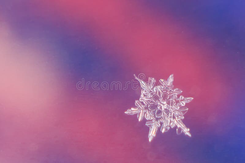 Single Snow Flake on Colorful Background Stock Photo - Image of ...