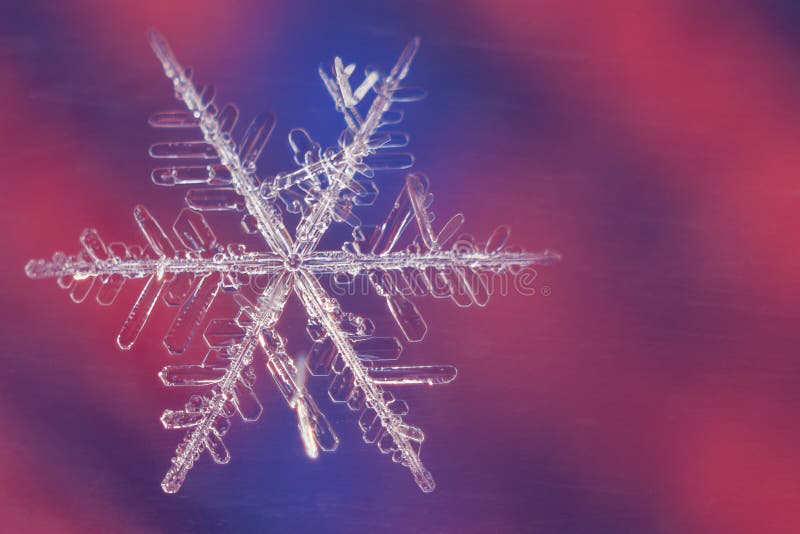Single Snow Flake on Colorful Background Stock Photo - Image of natural ...