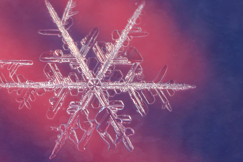 Single Snow Flake on Colorful Background Stock Image - Image of light ...