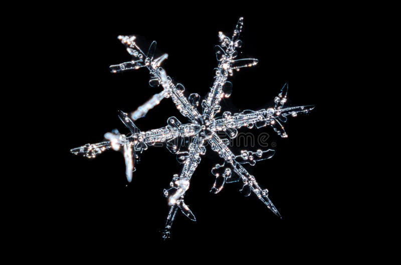Single Snowflake stock photo. Image of pattern, storm - 47446530