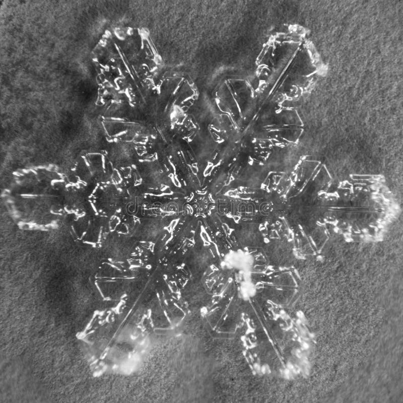 Snowflakes Tumblr Photography