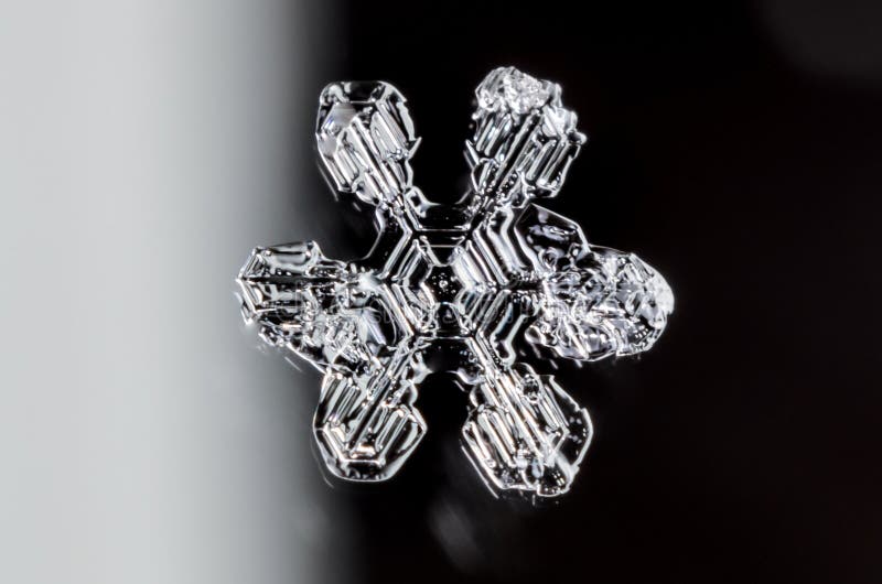 Single Snowflake stock image. Image of season, star, element - 47446591