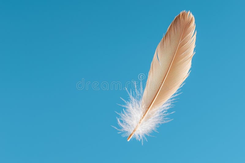 Single Soft Feather Floating on a Blue Background Stock Illustration ...